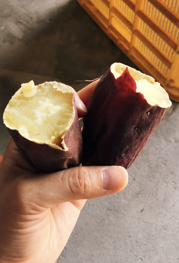 HAGISO Inc. | 世界に誇れる日常を生み出す。